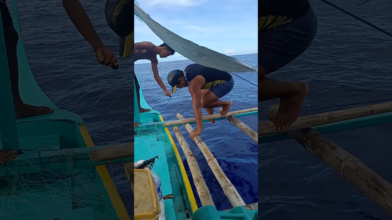Traditional fishing/Panghuhuli ng tambakol @ yellow fin tuna - YouTube