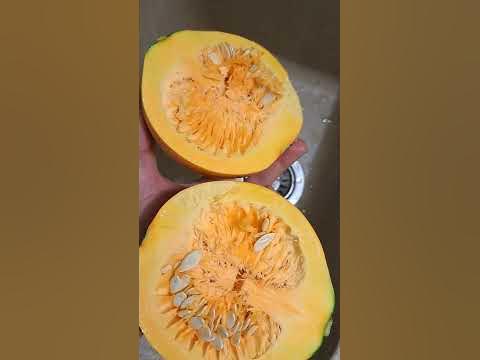 Тыква Колхозница - YouTube