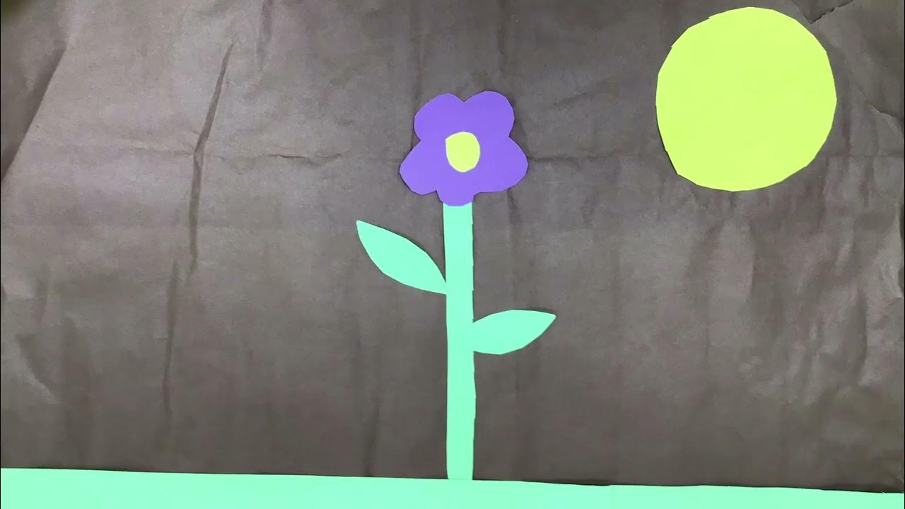 Stop Motion Plants - YouTube