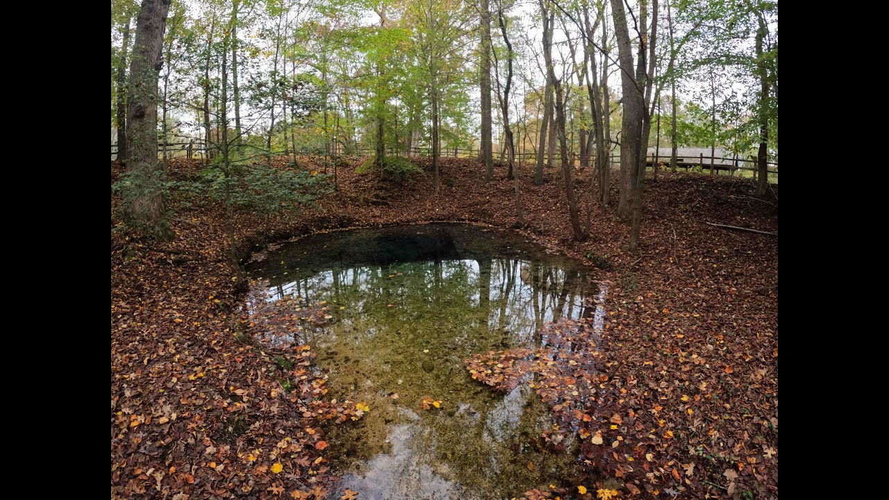 Exploring Red Clay State Historic Site | The Eternal Flame, The Blue ...