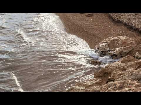 SAHİLE VURAN DALGALAR