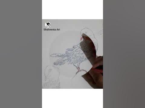 Watercolour Painting of Pigeon || Art Painting of Pigeon using ...