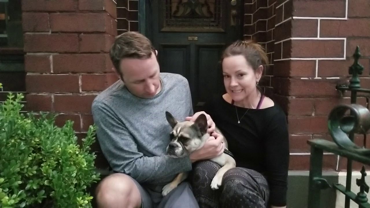 Chewie the super anxious frenchie - YouTube