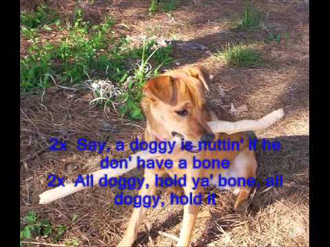 Baha men-who let the dogs out lyric - YouTube