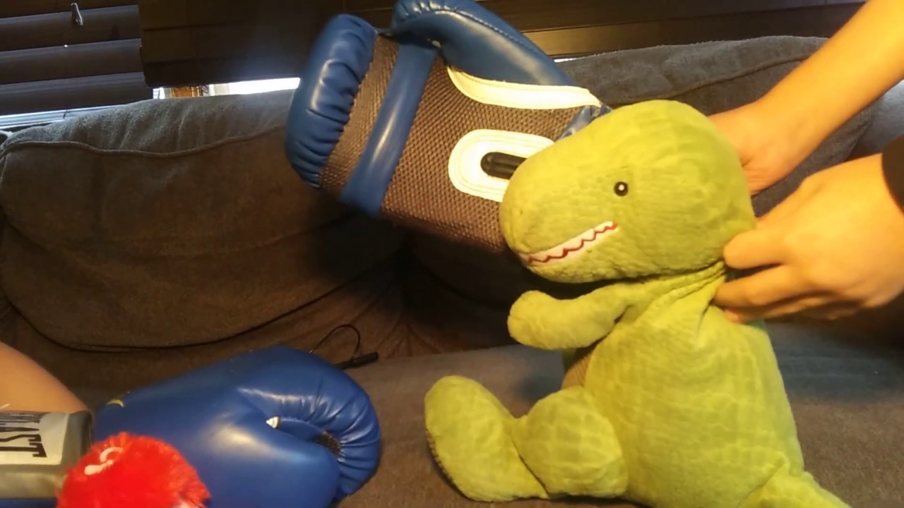 Mone And Dino Get In A Boxing Match!! (WHO WINS) - YouTube