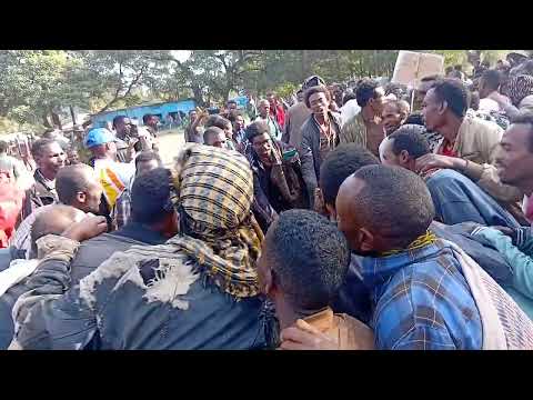 #Harargee_LixaaSagantaa duula na filadhaa Paartii Badhaadhinaa Hiriira Dambalii Galaanaa Ummataatiin