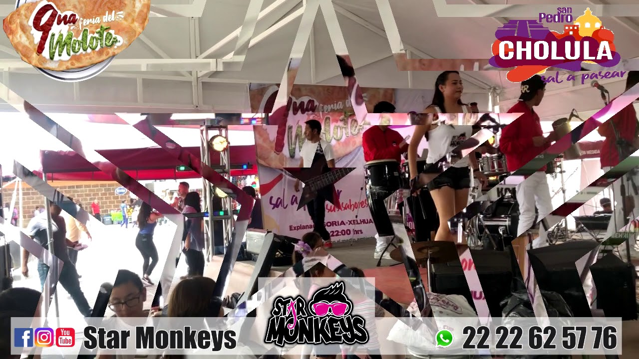 Star Monkeys VUELVO A SENTIR D.A.R. - YouTube