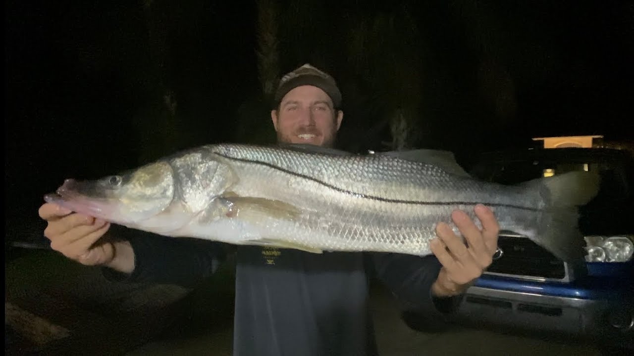 HOW TO FILLET, SKIN & DEBONE A FISH (SNOOK) HELPFUL TIPS AND TECHNIQUES ...