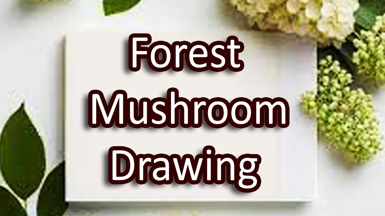 Beautiful Watercolor painting of mushroom | Autumn Forrest Watercolor ...