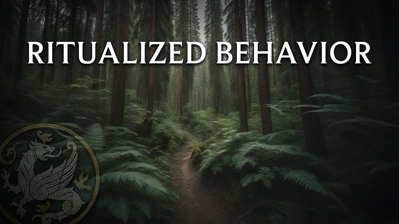 Ritualized Behavior From Animals to Church - YouTube