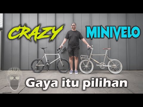 Minivelo tsunami store