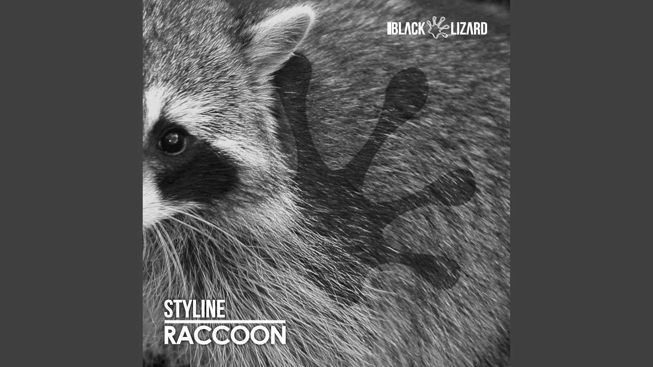 Raccoon (Radio Edit) - YouTube Music