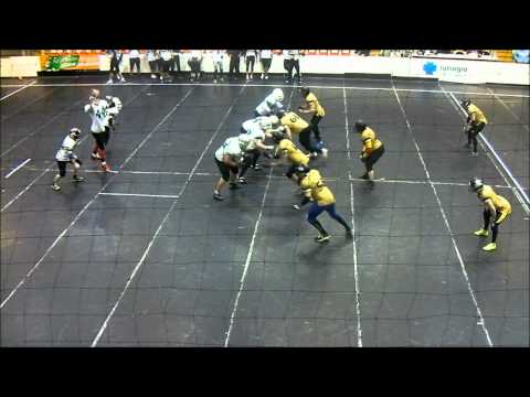 Szeged Bats - Arena Defense 2014