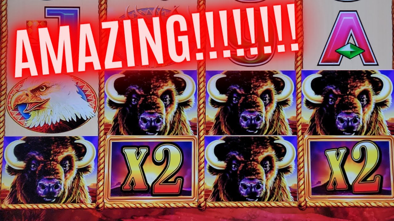So Many Max Bet Bonuses & Big Win On BUFFALO GOLD Slot Machine - YouTube