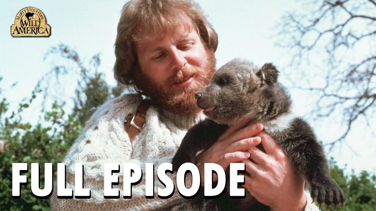 Wild America | Special E8 'Wacky Babies' | Wild America Animal Channel ...