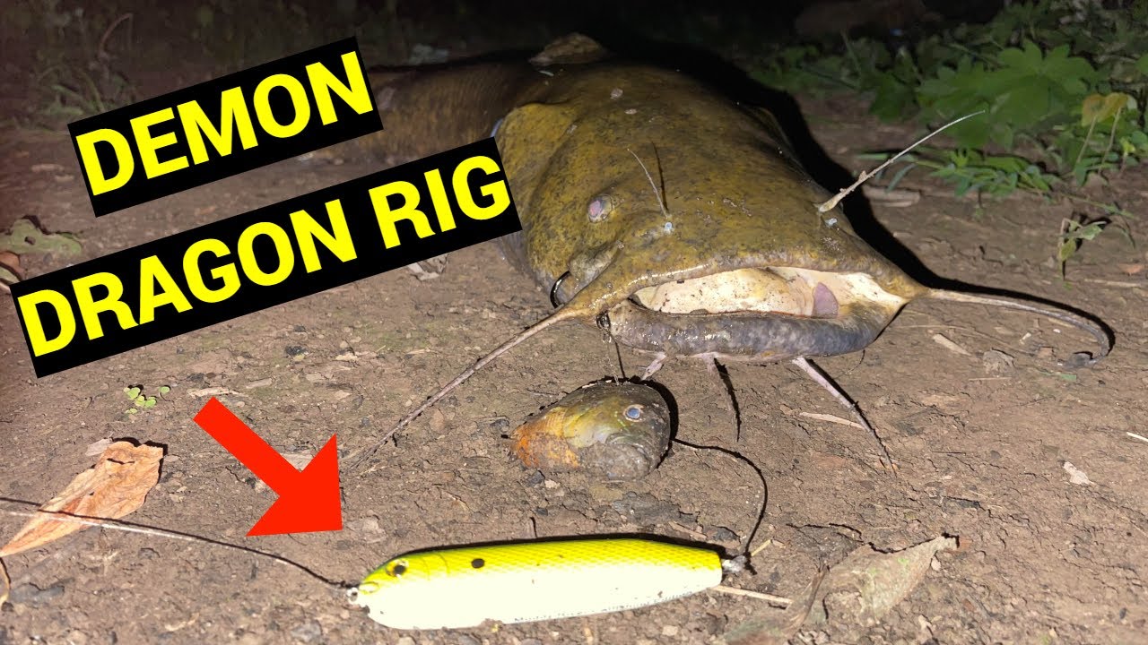 Catfishing with the DEMON DRAGON Rig (BIG FLATHEAD!) - YouTube