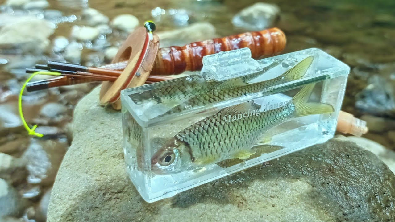 Get Inspired - Tanago / Micro Fishing - YouTube