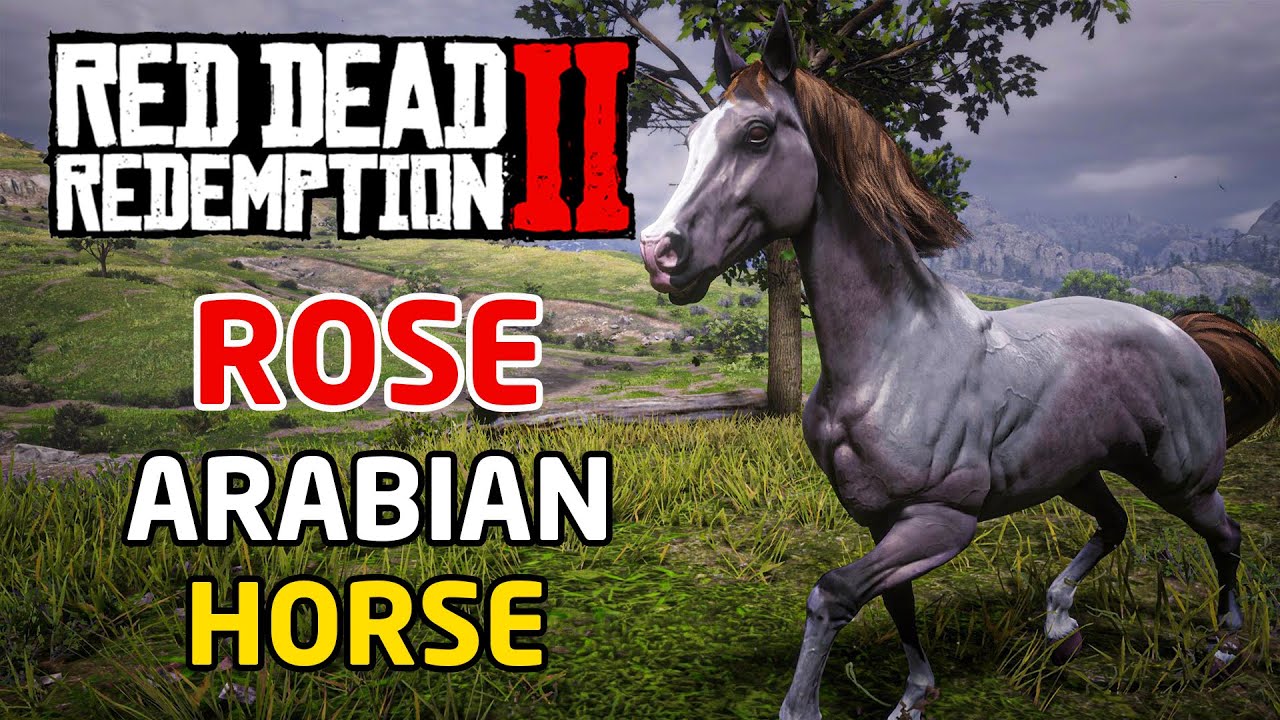 Red Dead Redemption 2 - How To Get Arabian Rose Grey Horse - YouTube
