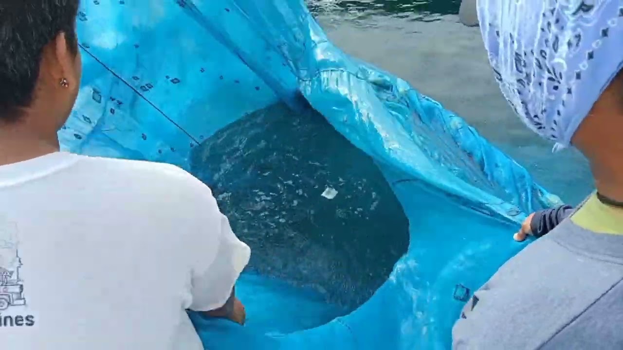 Tulingan nahuli sa pangulong ng dulong. Dulong Fishing part 3 - YouTube