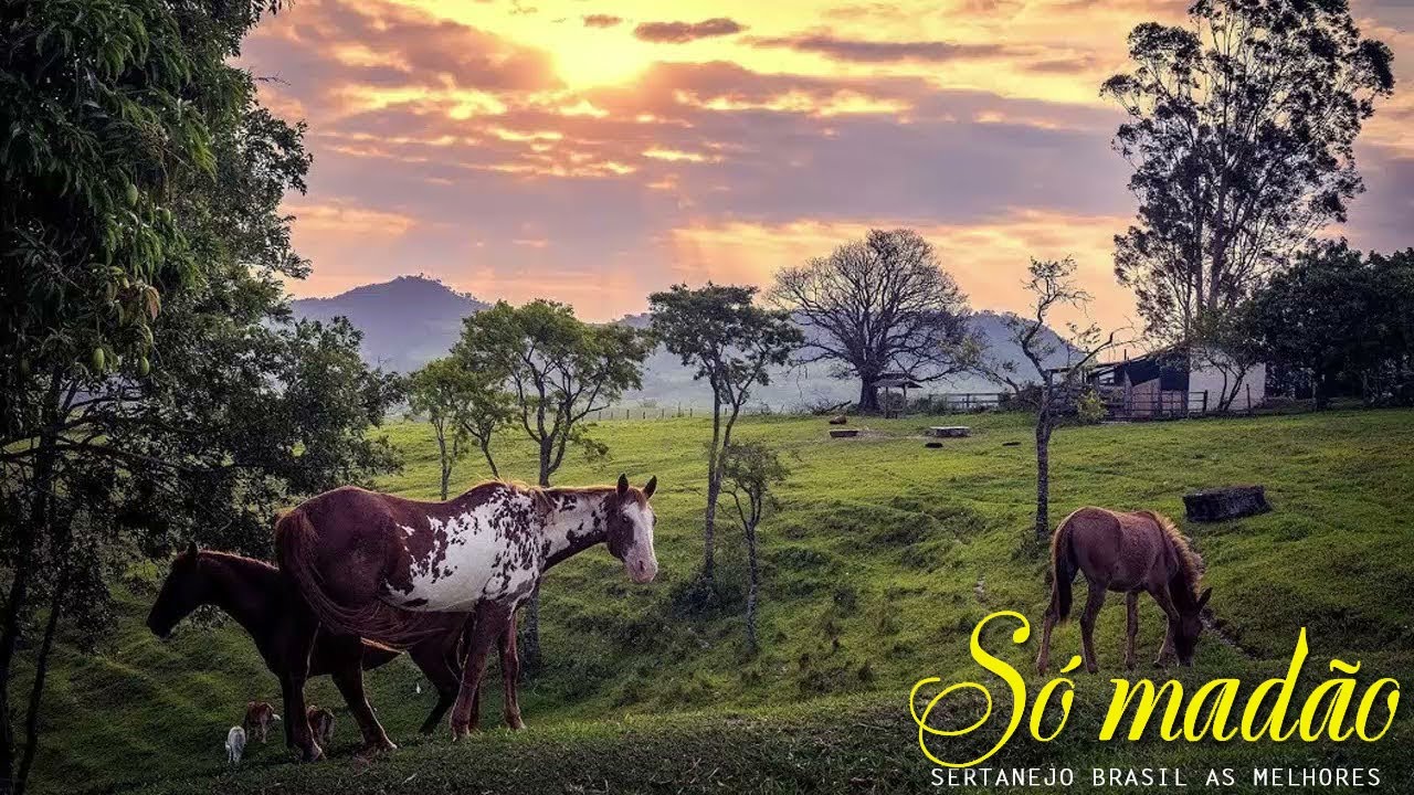 SÓ MODÃO SERTANEJO RAIZ - MODÃO DAS ANTIGAS - AS MELHORES | SERTANEJO ...