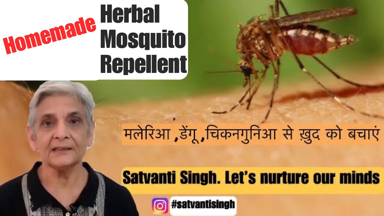 How To Make Herbal Mosquito Repellent At Home DIY Homemade Mosquito Repellent That Works how-to-make-herbal-mosquito-repellent-at-home-diy-homemade-mosquito-repellent-that-works