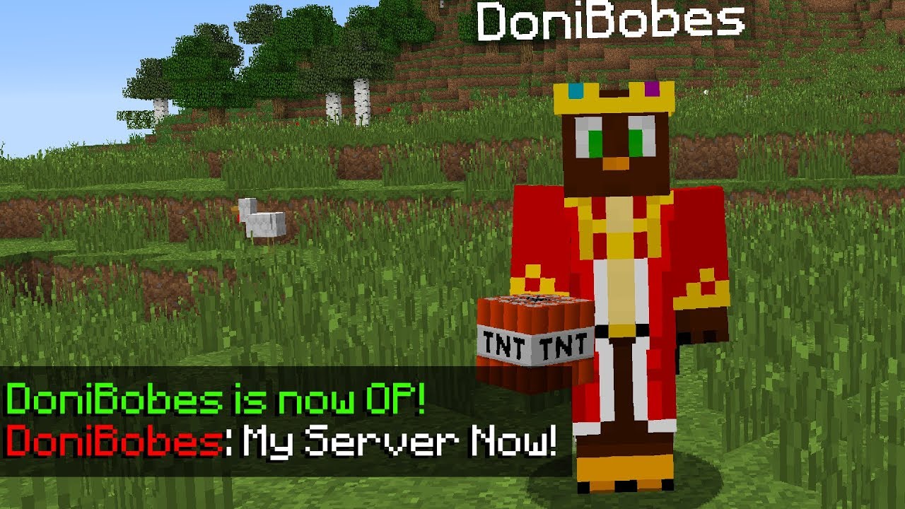 DoniBobes hacked my Minecraft Server... (Minecraft Trolling) - YouTube