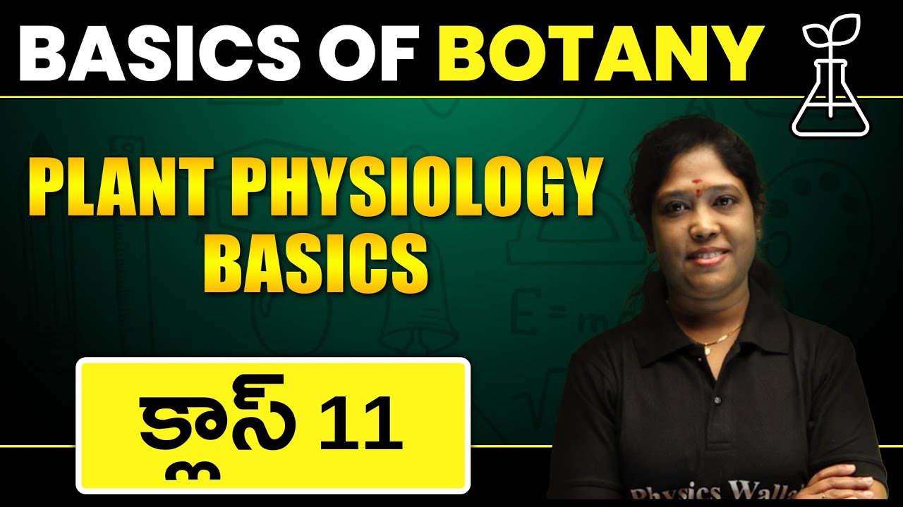 Plant Physiology Basics | Basics Of Botany | Class 11 | AP & TS Boards ...
