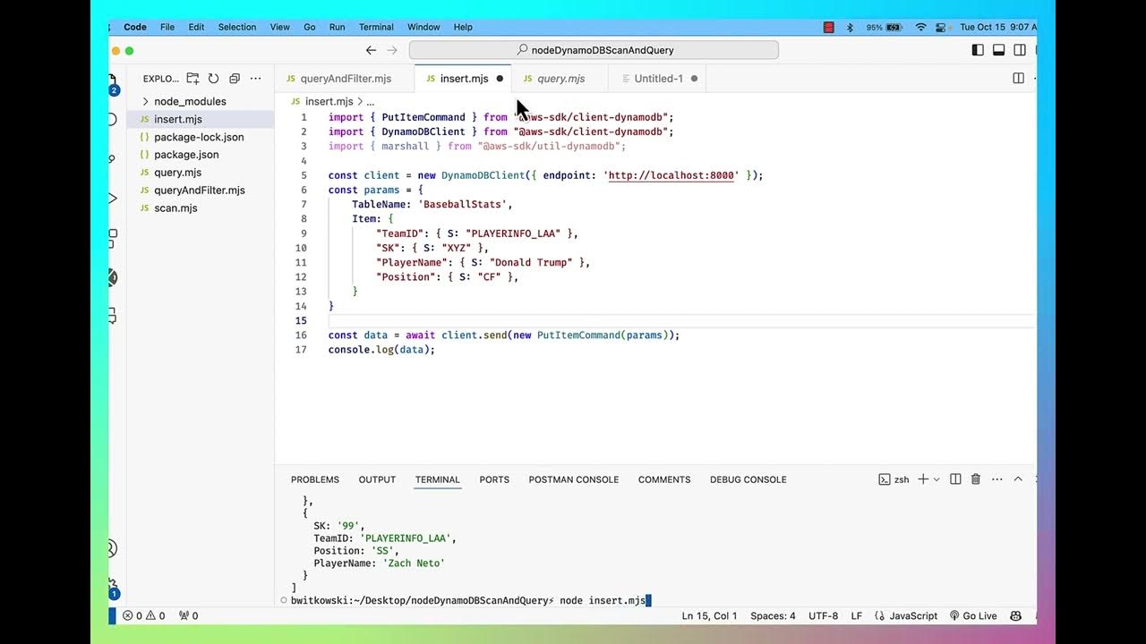 NodeJS DynamoDB Insert and Update - YouTube