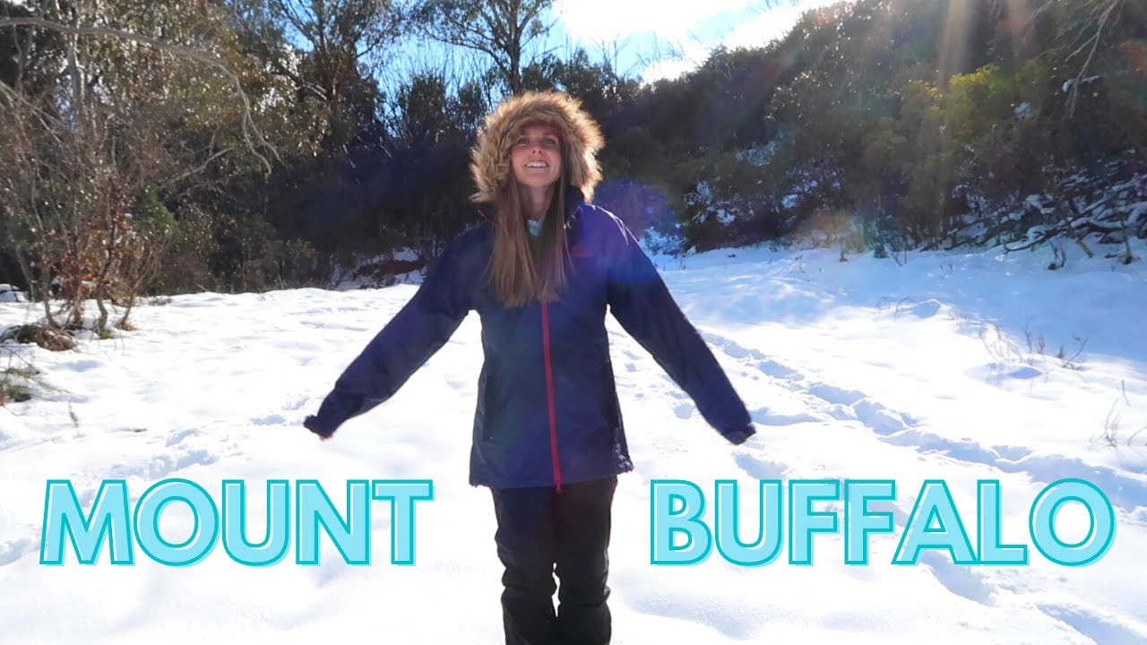 40CM OF SNOWFALL IN 48 HOURS | Fresh snow at Mount Buffalo | Travel ...