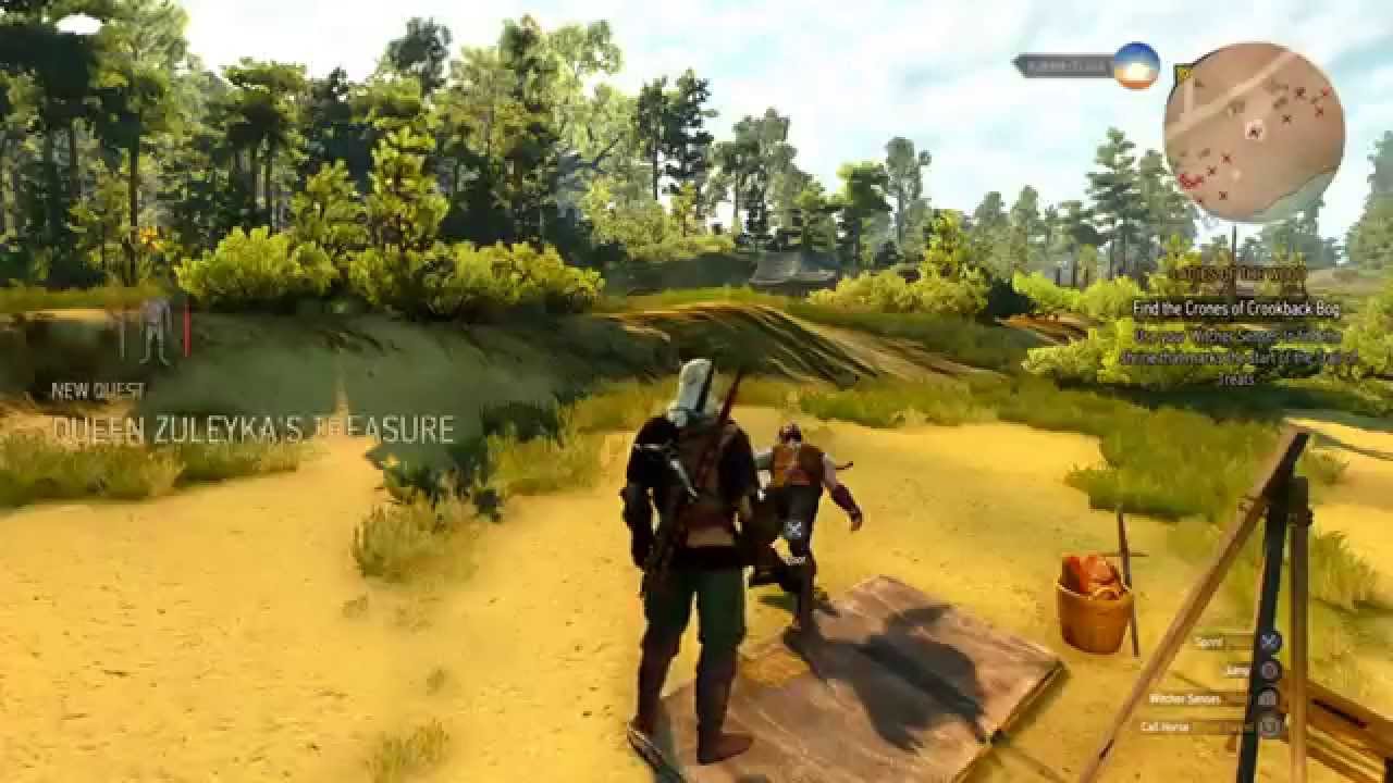 The Witcher 3: Wild Hunt Time Stop Glitch - YouTube
