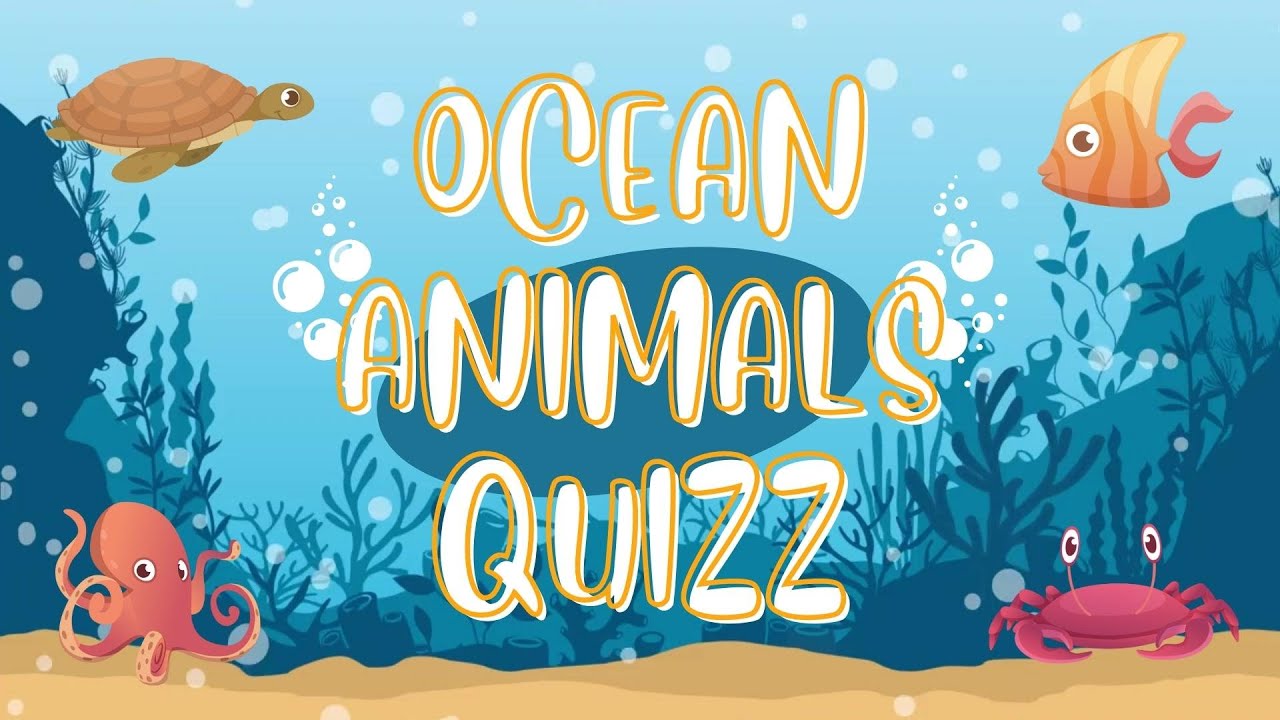 FIND THE OCEAN ANIMAL GAME, LISTENING GAME FOR KIDS - ANIMALS VIDEO ...