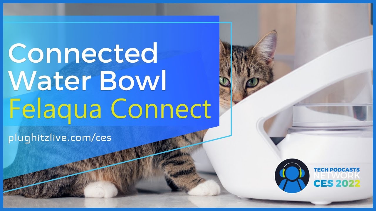 Felaqua Connect: The smart water bowl for your cat @ CES 2022 - YouTube