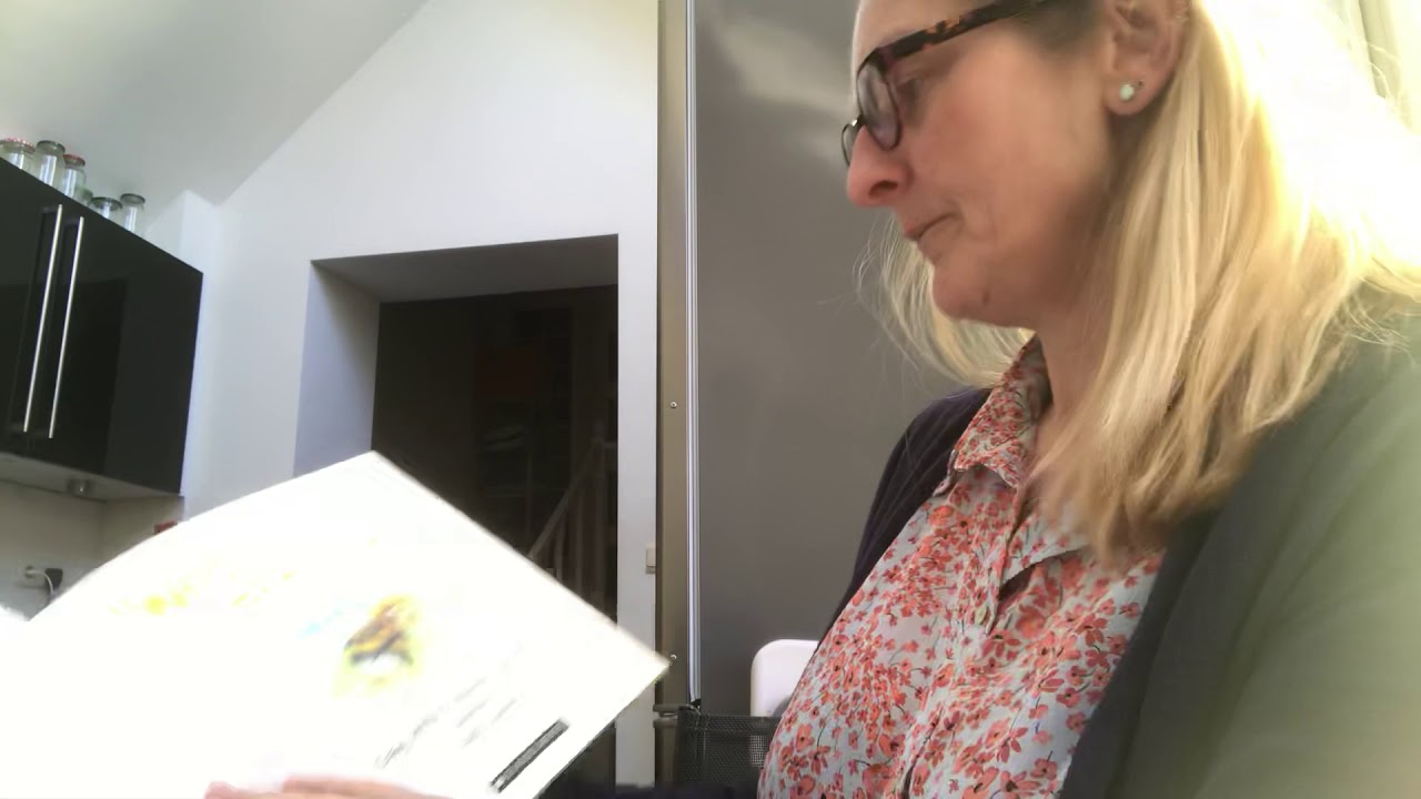 Willbee Bumblebee by Craig Smith & Maureen Thompson - YouTube