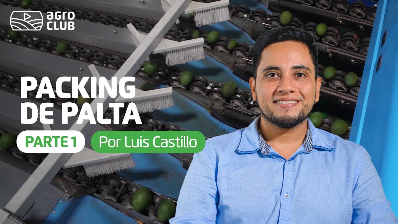 Diseño y Construcción de un Packing Frutícola - YouTube