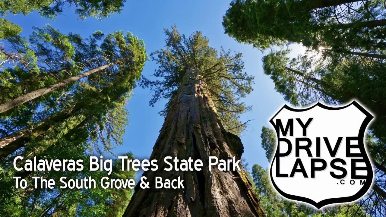 Calaveras Big Trees State Park: Drive to the South Grove - YouTube