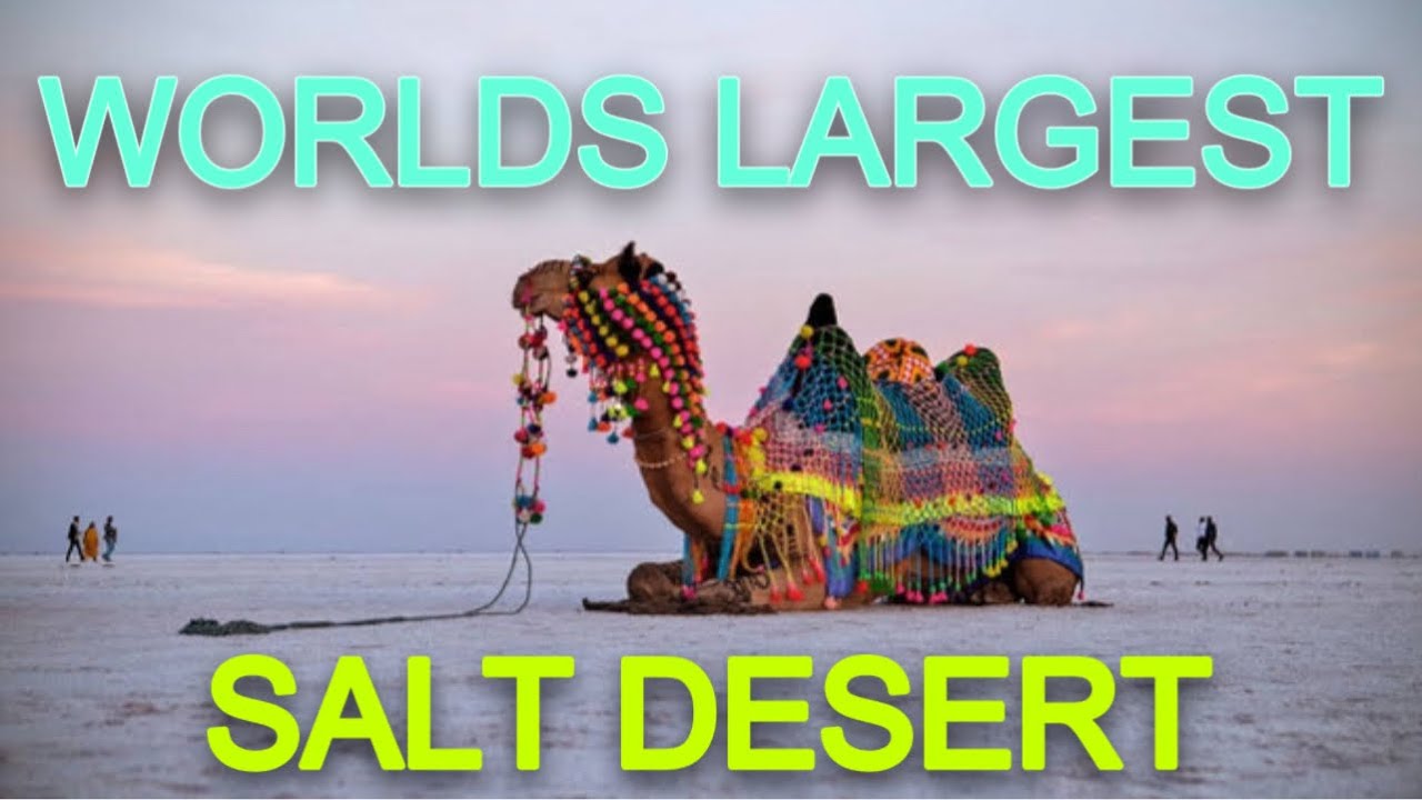 Exploring Worlds Largest Salt Desert in India, Rann of Kutch ...