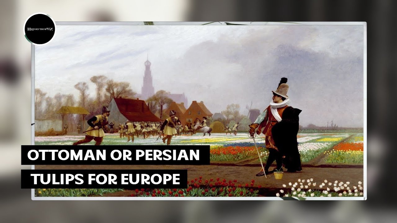 Ottoman or persian iran - history of tulips - YouTube