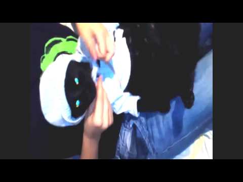 Cute Lazy Fashion Cat ,TOP vines new,best funny vines