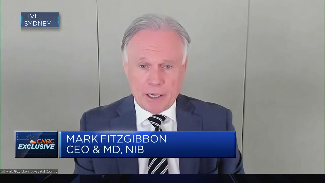 Partnerships and product differentiation will drive NIB's continued ...