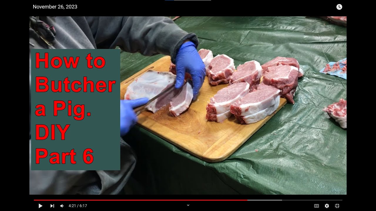 How to butcher a pig. DIY part 6 on the Boel family farm. - YouTube