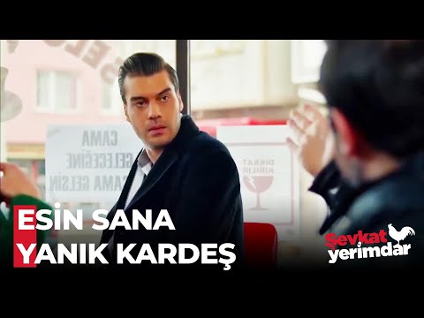 Mahalleliden Şevkat'e Aşk Gazı - Şevkat Yerimdar