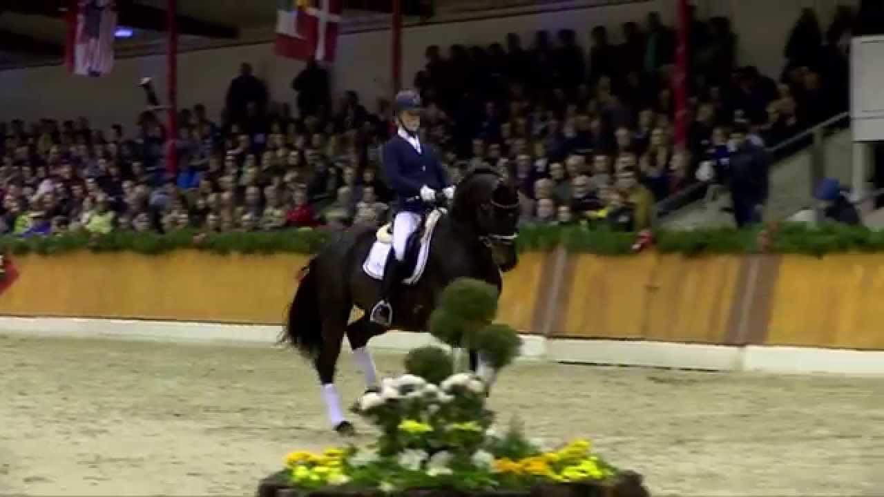 Florenz *2011 by Florencio - Sandro Hit (Stallion Show Sosath 2015 ...