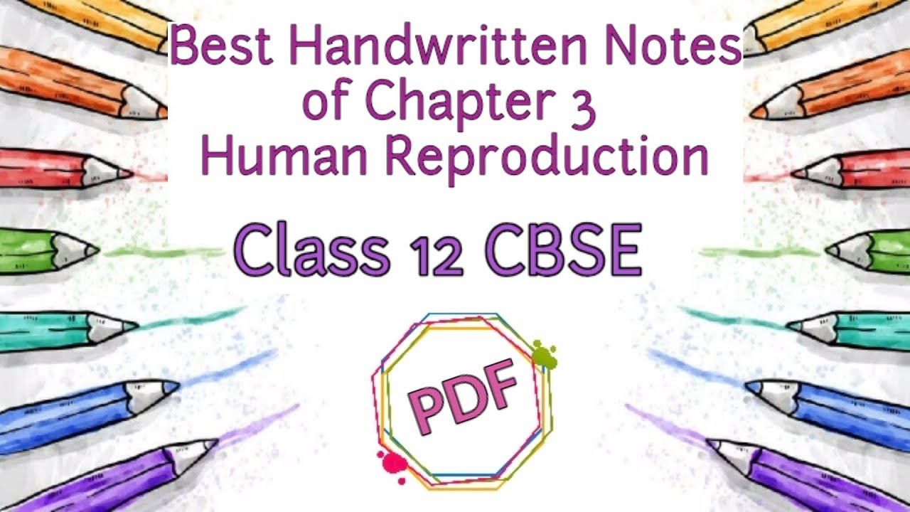 Best Handwritten Notes of Chapter Human Reproduction| Class 12 Biology ...