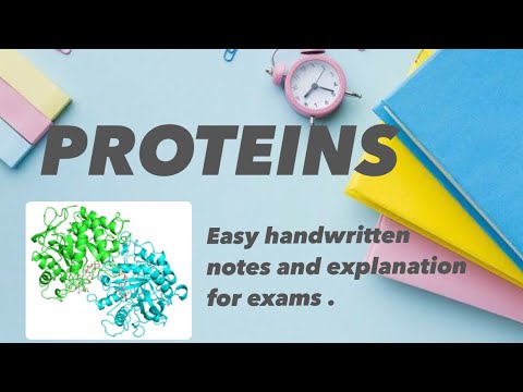 PROTEINS| | INTRODUCTION | CLASSIFICATION | FUNCTIONS | Easy ...