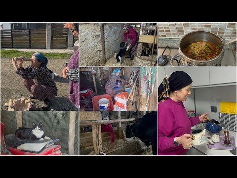 KAZ YUMURTALARINA BAKTIM❗️AHIRDA MINTIKA TEMİZLİĞİ✅GÜNLÜK VLOG