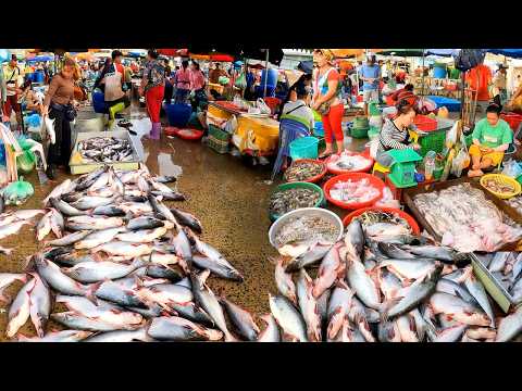 Cambodia Freshwater Fish Market. Wet Market, Rich in Small and large Freshwater Fish Market