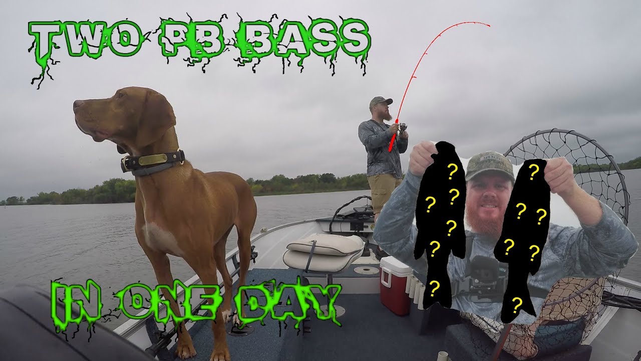 Bass Fishing with my Vizsla "Shandy" (I BREAK 2 PB'S) - YouTube