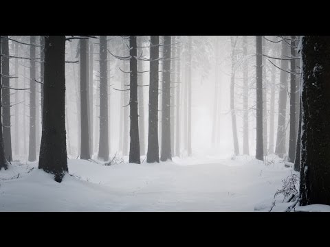 Bozza En Forêt Illustré - YouTube