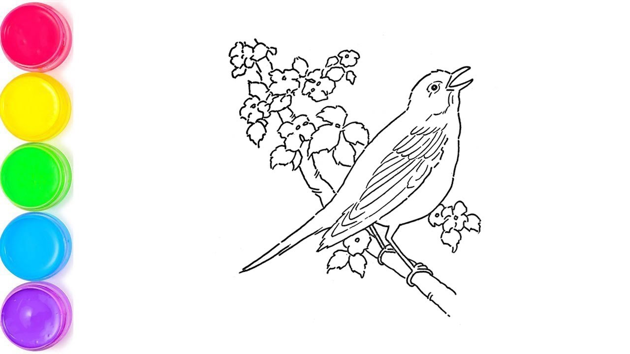 Bird drawing|| Simple bird drawing|| pencil shading drawing|| How to ...