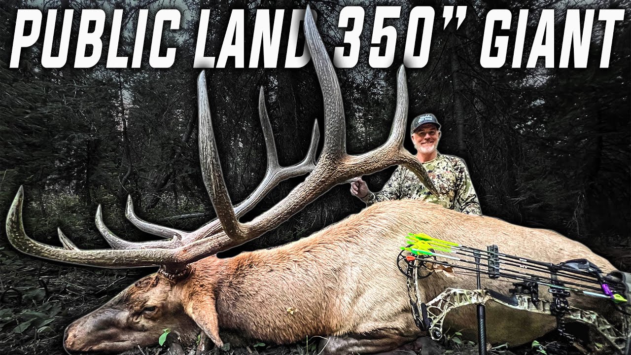 350" OREGON DIY PUBLIC LAND ARCHERY ELK HUNT - YouTube